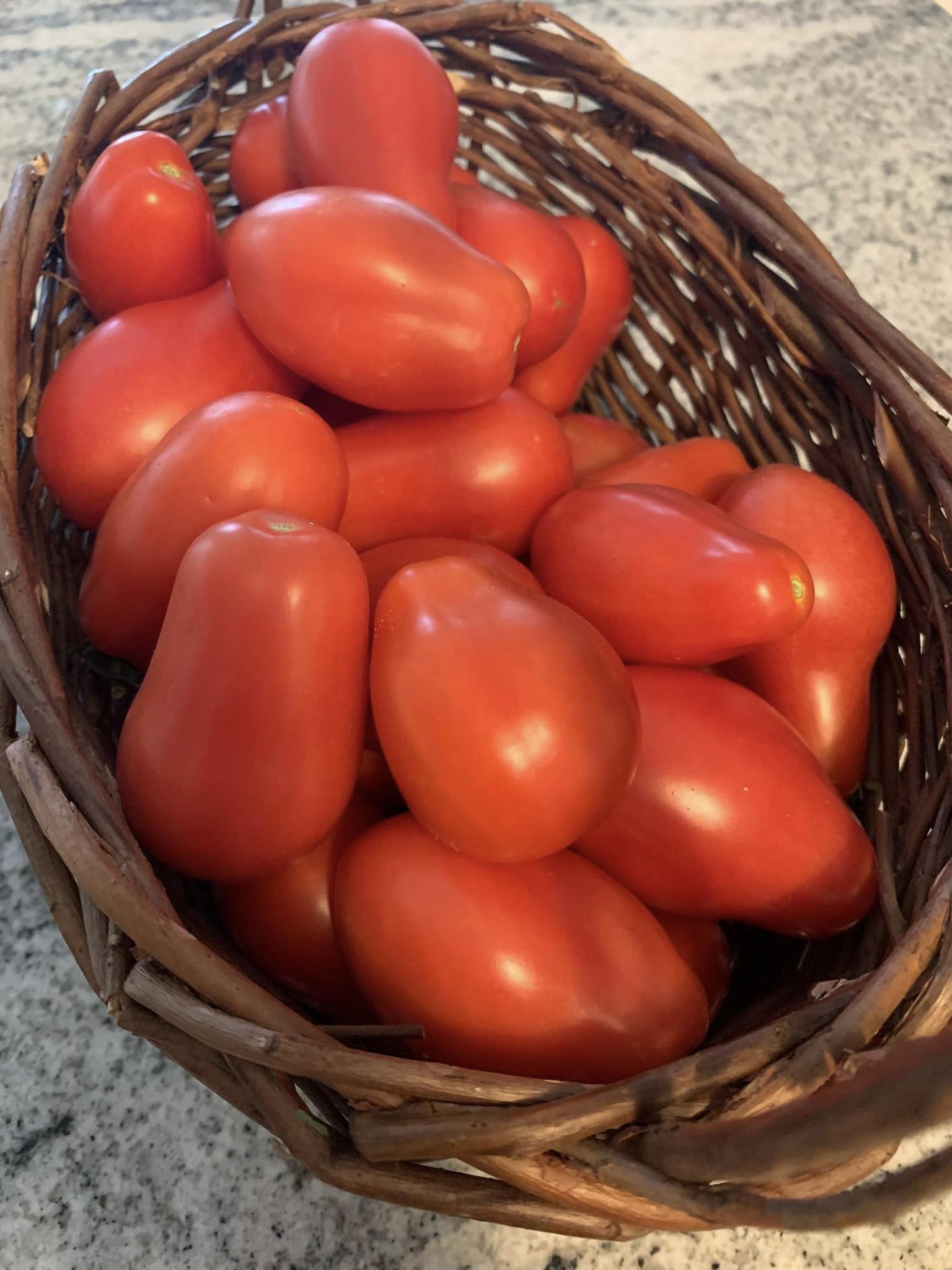 Oh No Another Tomato! Tomato Preserving Recipes - Traveling Garden Lady